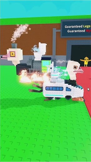 NEW ADMIN RITUAL? 🚂😱
