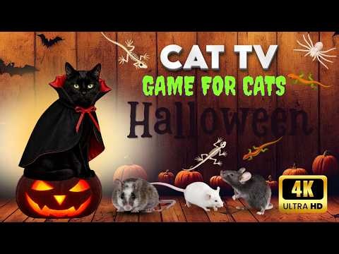 Cat TV 🎃 3 HOURS Halloween Bugs & Lizards for Cats to Catch | 4K Cat Games