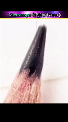 What do things look like under a microscope? #shorts