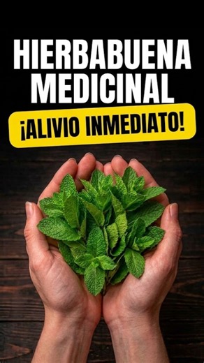 5 SECRETOS de la HIERBABUENA que Casi NADIE CONOCE