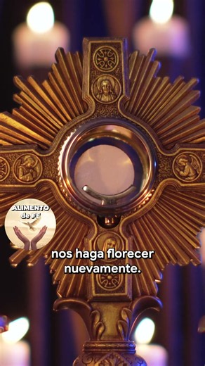 ❤️ DIOS, SANA nuestro LINAJE y la RELACIÓN con nuestros PADRES #oraciónpoderosa #milagros #horasanta