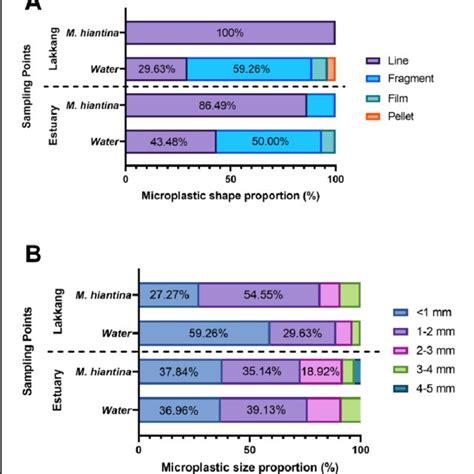 Microplastics Shape A And Size B Proportion In Marcia Hiantina And
