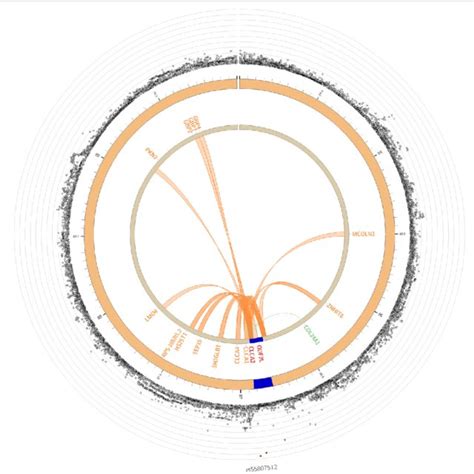 Circos Plots Of Mapped Gene On Chromosome 1 Locus Genomic Risk Loci