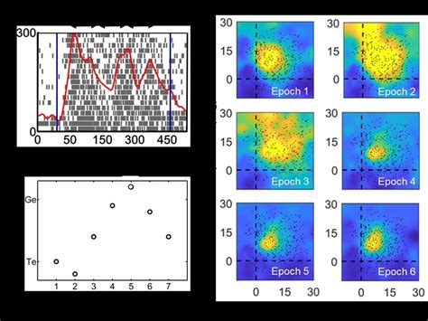 Spatiotemporal Analysis In One Example Neuron A Action Potential