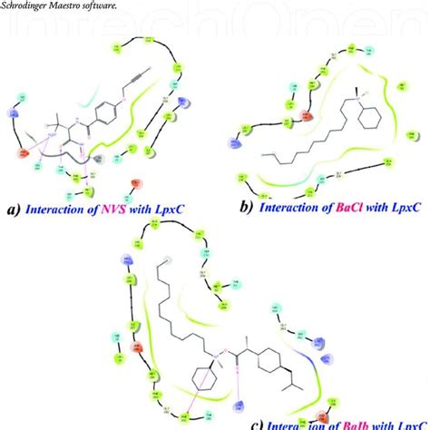 Schematic Representations Of Ligand Protein Interaction And Binding