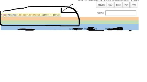 jquery datatable table css blank space issue stack overflow