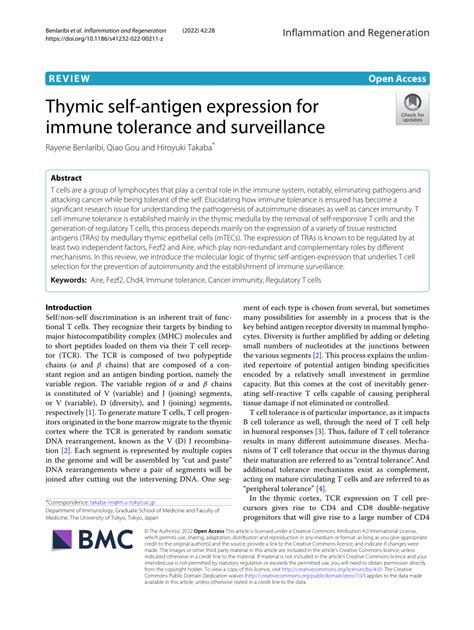 Pdf Thymic Self Antigen Expression For Immune Tolerance And Surveillance