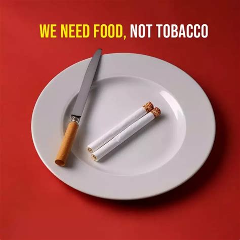 World No Tobacco Day 2024 Theme Date History Significance Slogans