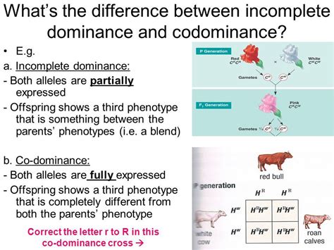 What Is Codominance Give An Example