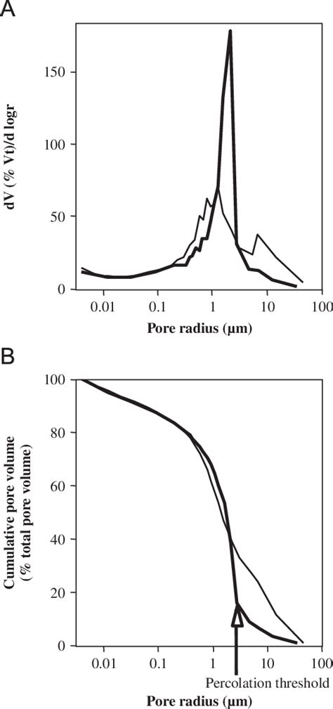 A Distribution Of The Pore Volumes And B Cumulative Pore Volume