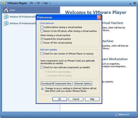 Vmware Player Windows 11 Servicevse