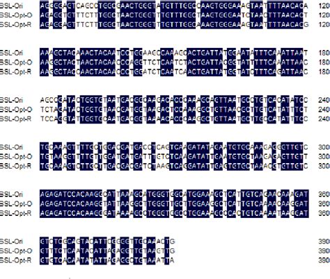 Figure 1 From Comparison Of Two Codon Optimization Strategies Enhancing