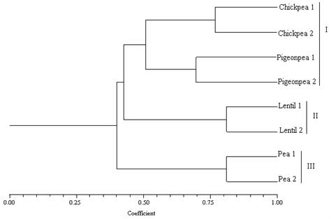 Upgma Based Dendrogram Of Rapd Profile Using Jaccards Similarity