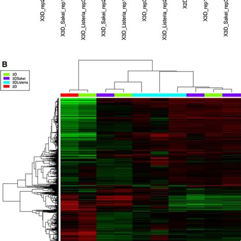 Results Of Global Transcriptomic Analysis Rna Seq Performed With