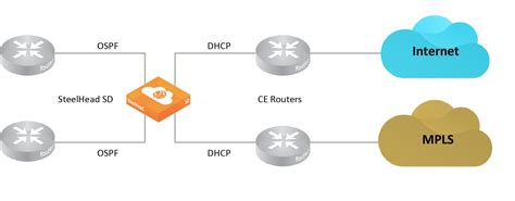 configuring bgp ospf static routing and route retraction on steelhead sd