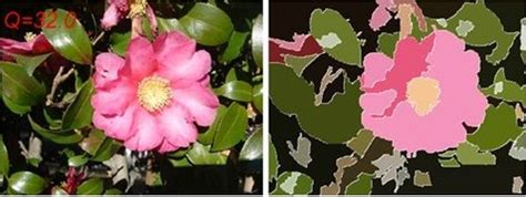 Image Processing And Pattern Recognition Biti3313 Region Segmentation
