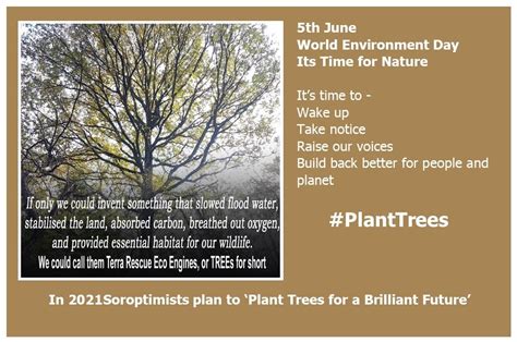 World Environment Day News Blog Events Si Kenilworth And District