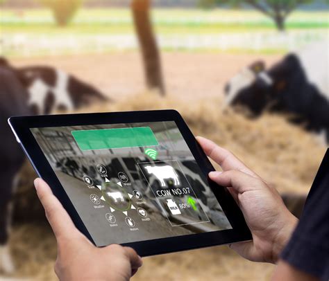 Iot Enabled Tracking And Identification Systems For Livestock