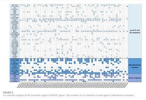Figure 1 From Genome Wide Identi ﬁ Cation And Expression Analysis Of