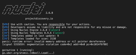 panic runtime error invalid memory address or nil pointer dereference