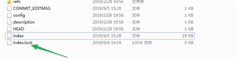 unable to create git index lock file exists 问题的解决方法 unable to create