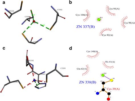 The 3d A And 2d B Structures Of Zn Coordination Of Structural Zn In
