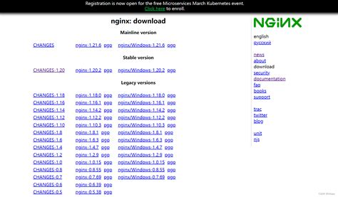 【精选】nginx源码安装（centos7） centos源码安装nginx intqao的博客 csdn博客