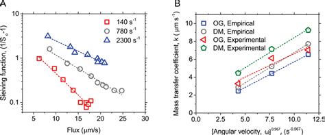 Concentration Polarization Promotes Detergent Sieving During