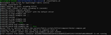 windows subsystem for linux docker container exit 1