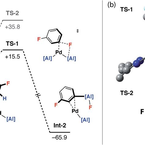 Pathway 1 A Dft Calculated Ligand Assisted Oxidative Addition