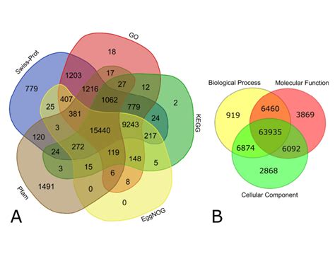 Fig S3 A Venn Diagram Representation Of Database Annotations Venn