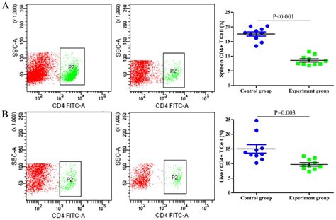 Increase In Cd4 Foxp3 Regulatory T Cell Number And Upregulation Of The