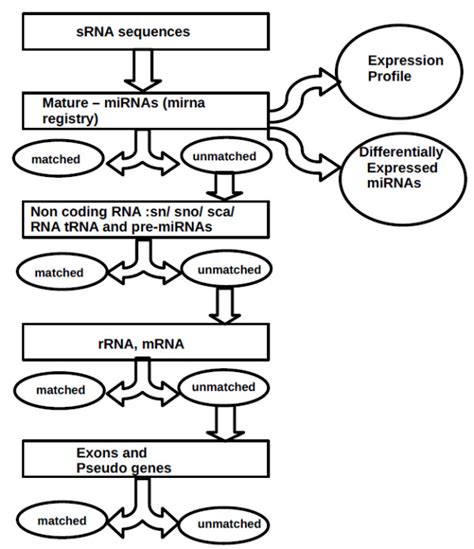 Flowchart Describing The Elimination Pipeline Used To Filter Out The