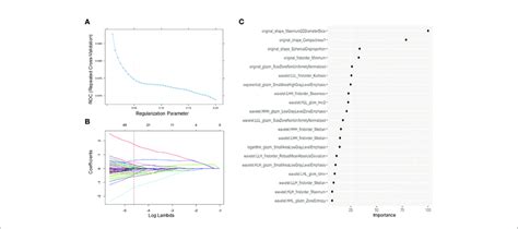 Feature Selection Using The Least Absolute Shrinkage And Selection