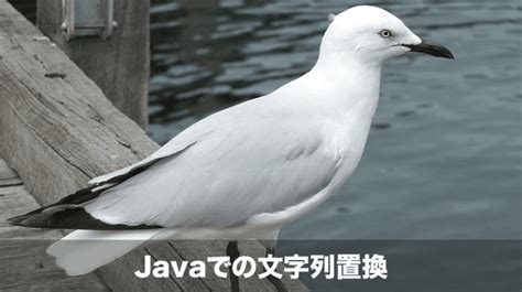 2分で理解！javaで文字列を置換するreplacefirst replaceall【stringクラス】