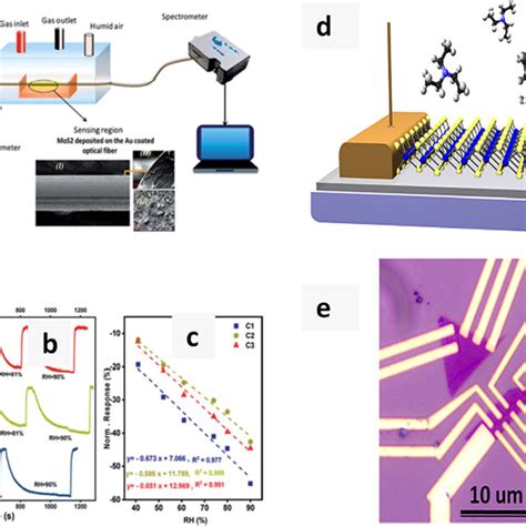 A Optical Gas Sensors Set Up Based On Optical Fiber Coated With