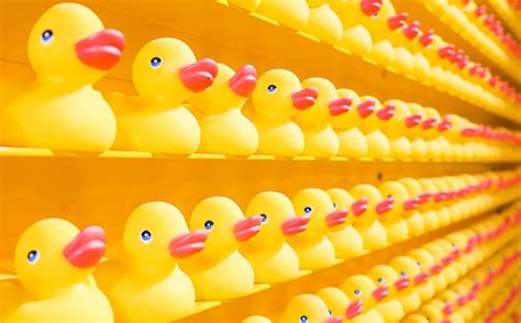 code n00b duck duck done the new stack