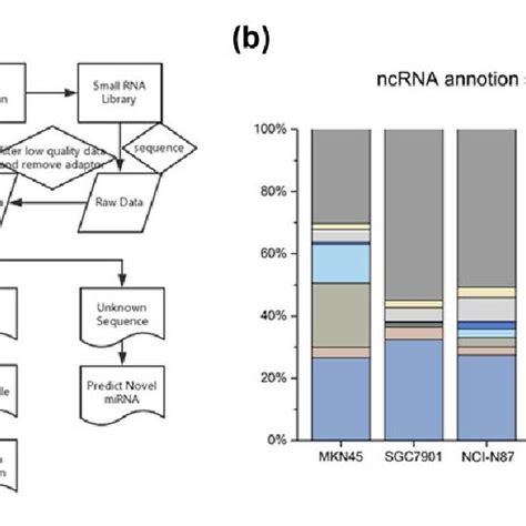 Overview Of Sequence And Bioinformatics Analysis And Exhibition Of