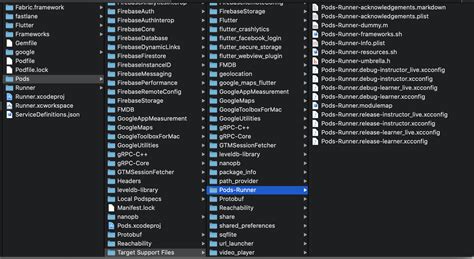 unable to find included file pods target support files pods runner