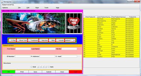 hospital system java gui free source code projects