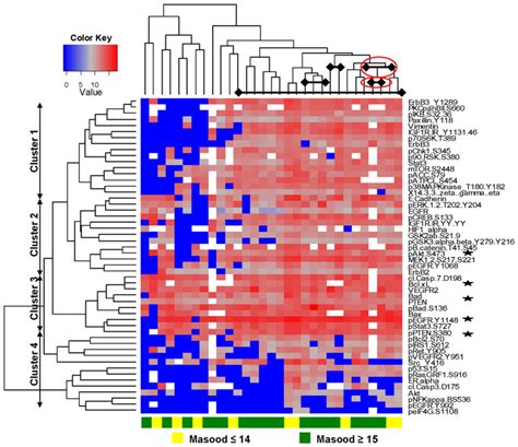 Unsupervised Hierarchical Clustering Analysis Of Log 2 Transformed