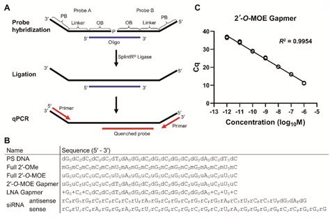 Splintr Dna Ligase New England Biolabs Bioz
