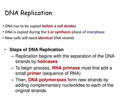Dna Structure And Replication Ppt Download