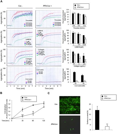 Role Of Pi3k In Functional Platelet Responses A Role Of Pi3k In