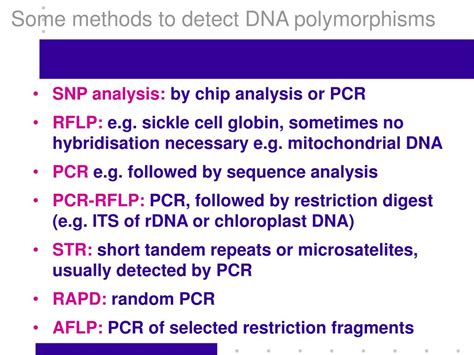 Ppt Chapter 6 Pcr Methods For Analysis Of Dna Polymorphisms