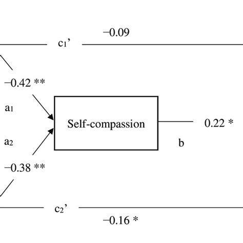 Structural Equation Model Demonstrating The Direct And Indirect Paths