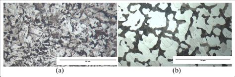 Optical Micrographs Of Aa1050 A Near Surface And B Dynamic