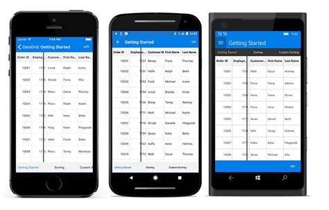 columns in xamarin datagrid control syncfusion