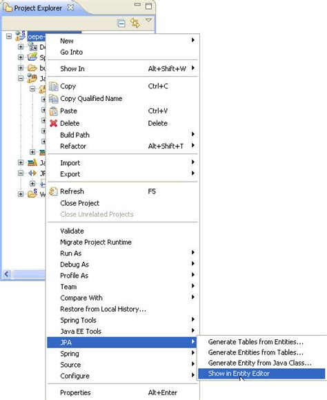 oepe spring jpa tutorial step 4 managing persistent entities with the
