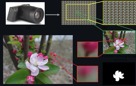 salient object detection